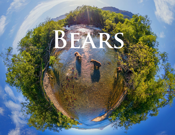 The Land of Bears, Kamchatka, Russia | VUZ 360° Teleporter App